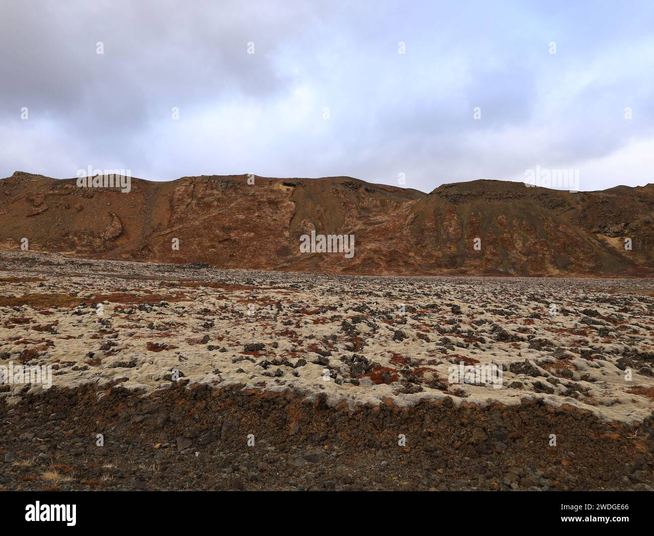 Reykjanesfólkvangur is a nature preserve in Iceland with lava ...