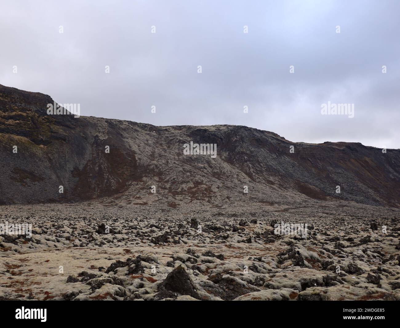 Reykjanesfólkvangur is a nature preserve in Iceland with lava ...