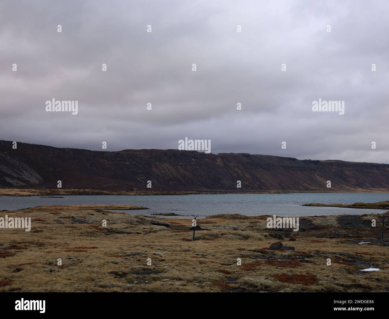 Reykjanesfólkvangur is a nature preserve in Iceland with lava ...