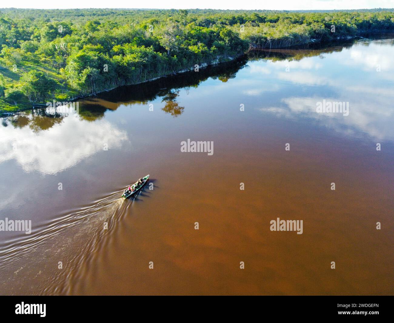 The Rio flowing in the dense Amazon forest in Brazil Stock Photo - Alamy