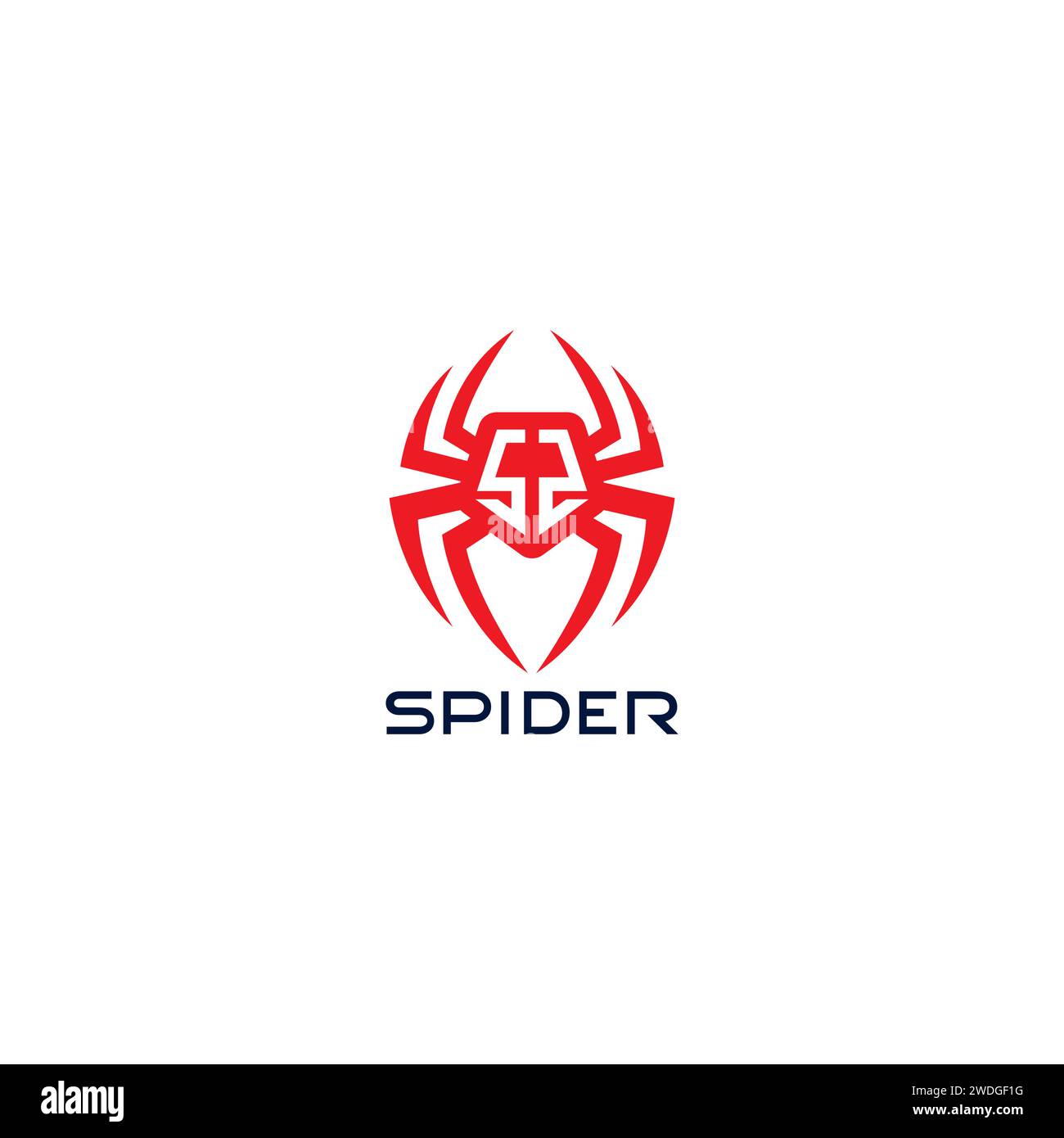 Spider Logo. Spider vector Illustration Stock Vector Image & Art - Alamy