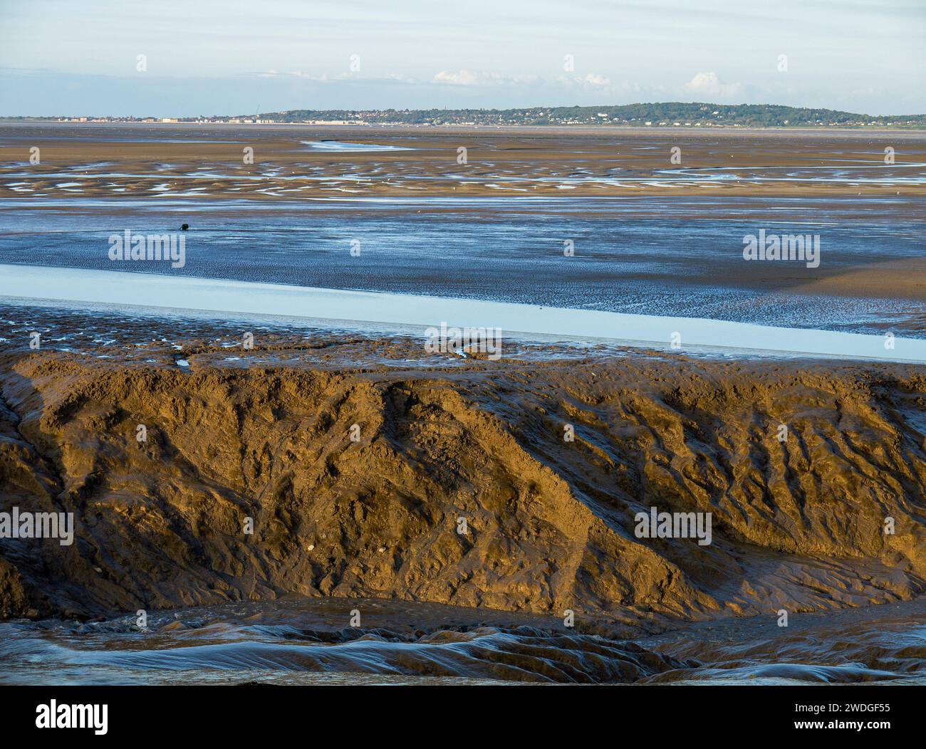 Mudflats of the River Dee Estuary at low tide, acting as the natural ...