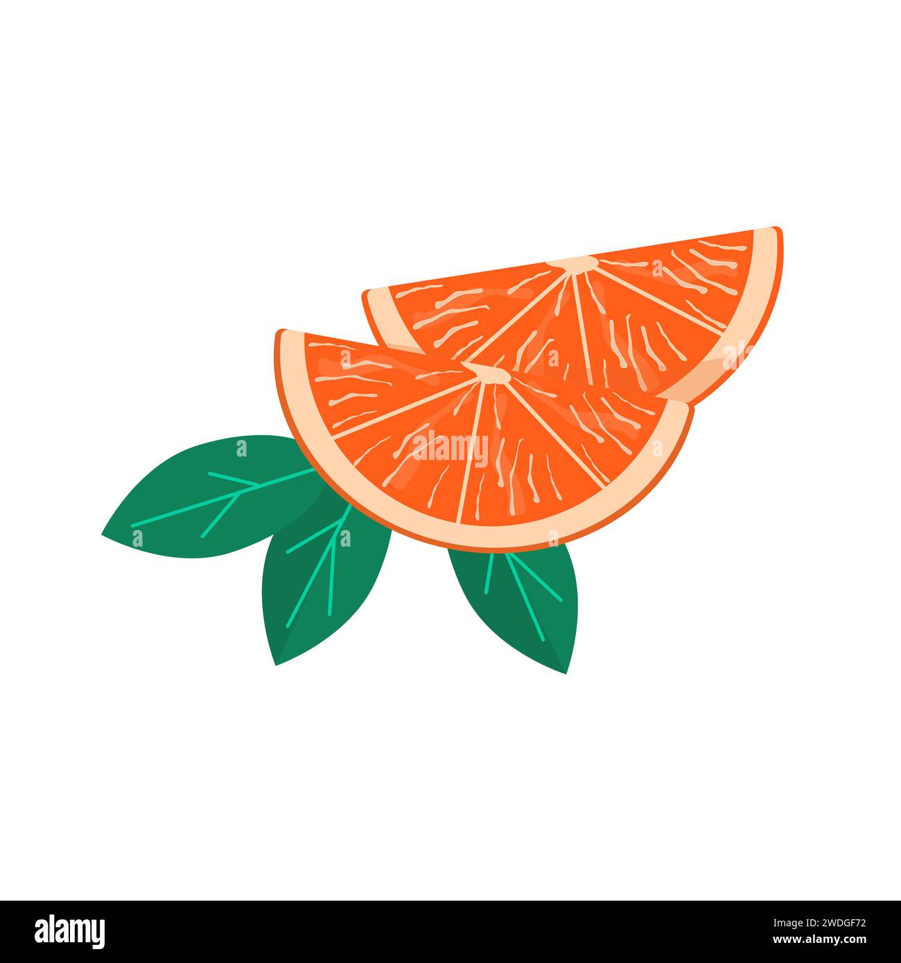Fruit wedges Stock Vector Images - Alamy