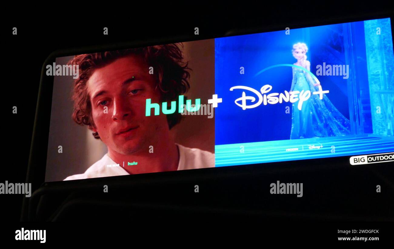 Los Angeles, California, USA 19th January 2024 The Bear and Frozen ...