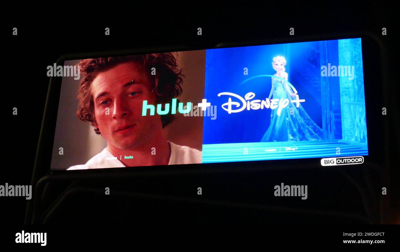 Los Angeles, California, USA 19th January 2024 Jeremy Allen White The ...