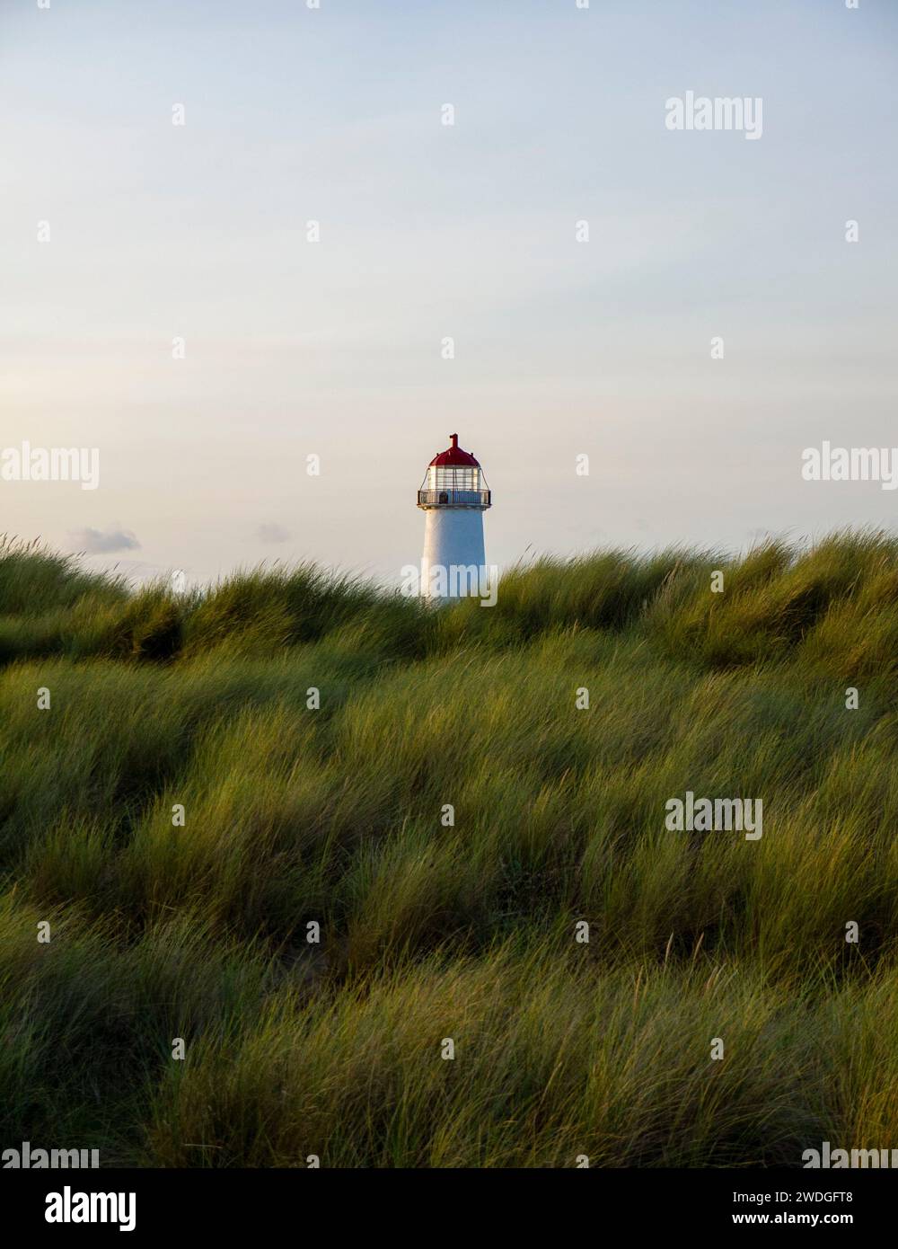 Grass sand dunes on the approach to Talacre Beach and Point of Ayr ...