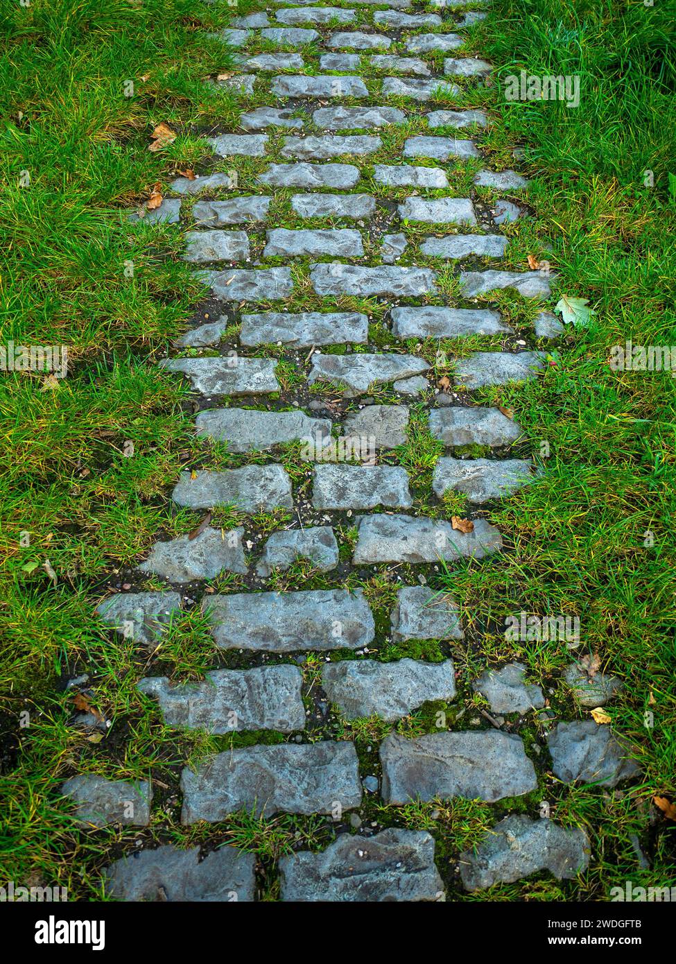 Overgrown blue stone pathway across grass leading to Greenfield Mill in ...