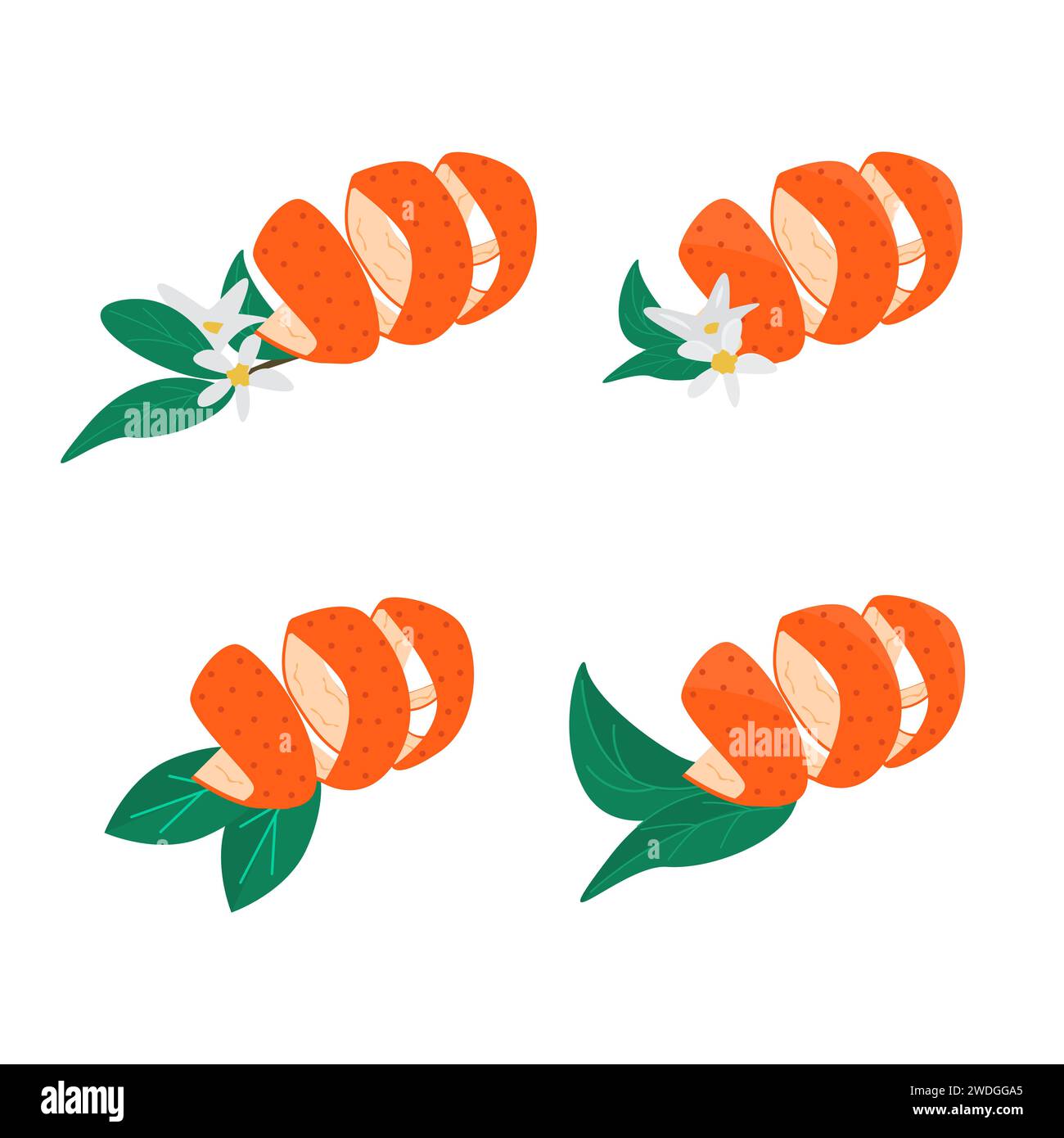 Peeling clementine Stock Vector Images - Alamy