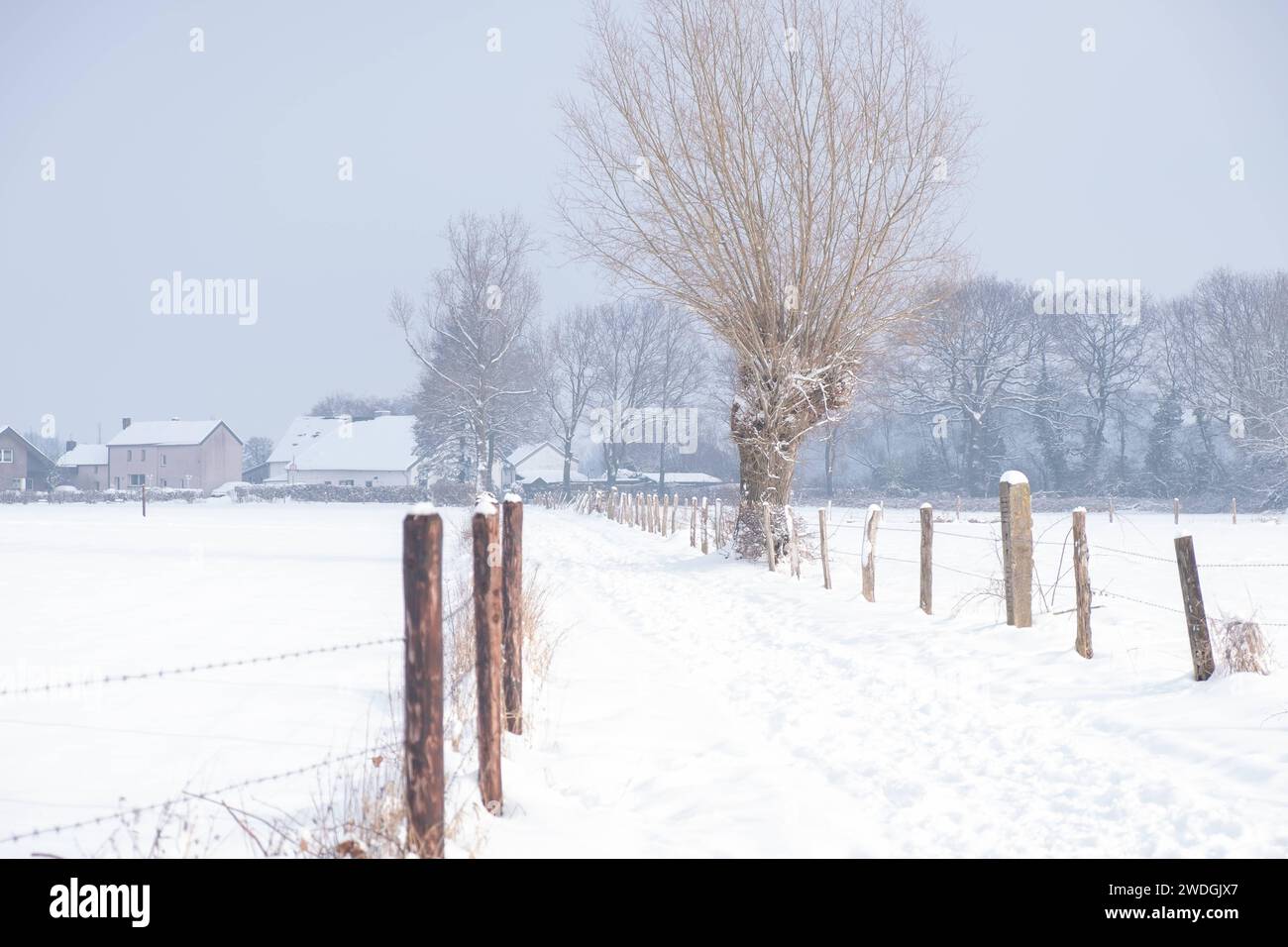 Starker Schneefall in Aachen am 18. Januar 2024. GERMANY - AACHEN ...