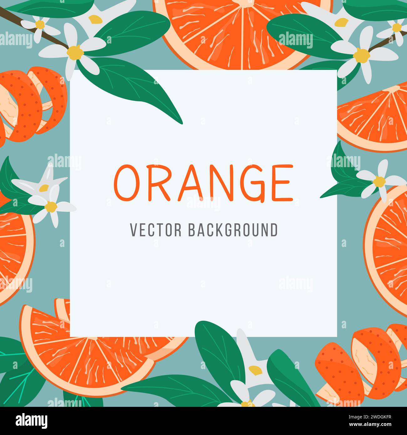 Orange fruit square background vector flat illustration. Exotic ...