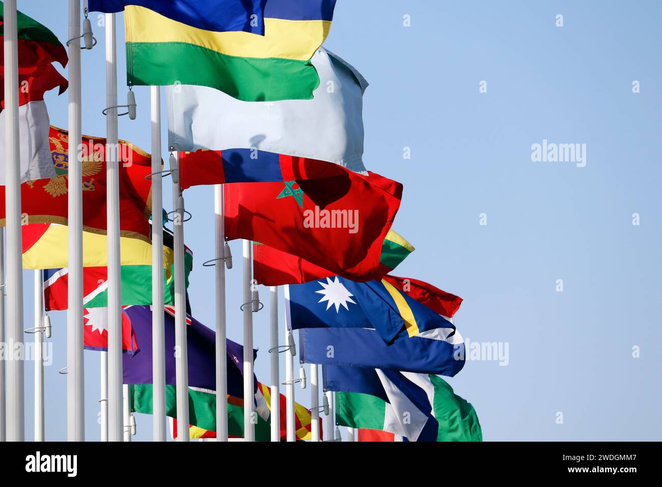 Group of flags of many different nations against blue sky during expo ...