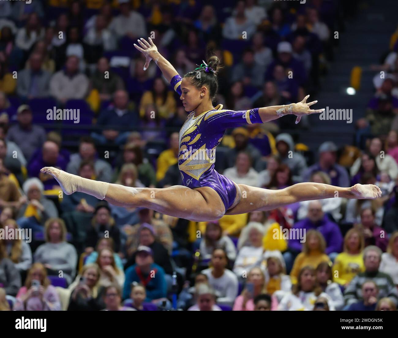 Baton Rouge, LA, USA. 19th Jan, 2024. LSU's Haleigh Bryant competes on ...