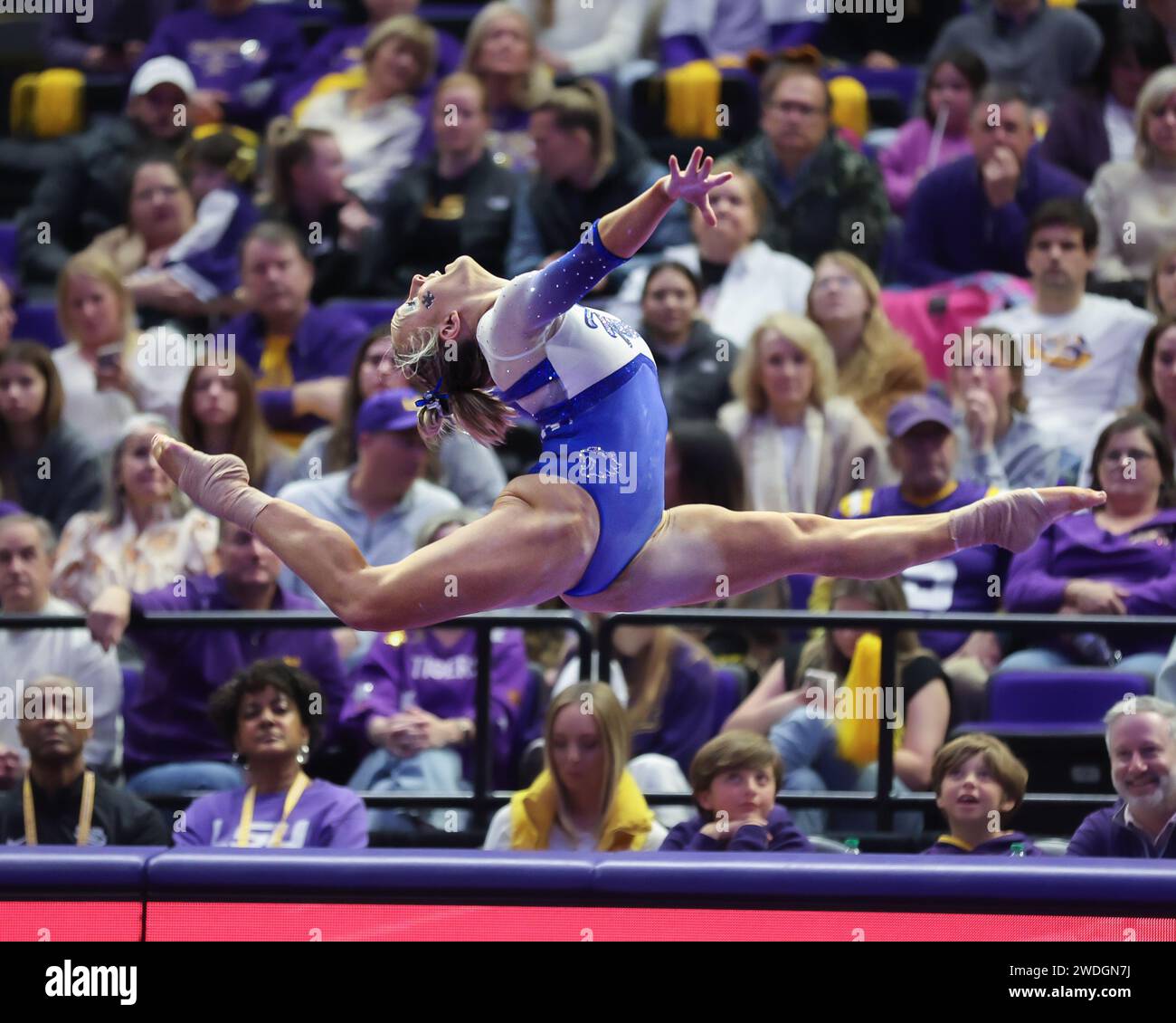 Baton Rouge, LA, USA. 19th Jan, 2024. Kentucky's Raena Worley competes ...