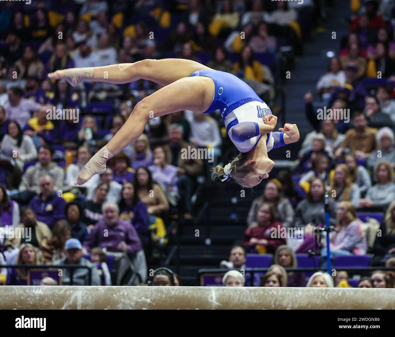 Baton Rouge, LA, USA. 19th Jan, 2024. Kentucky's Bailey Bunn competes ...