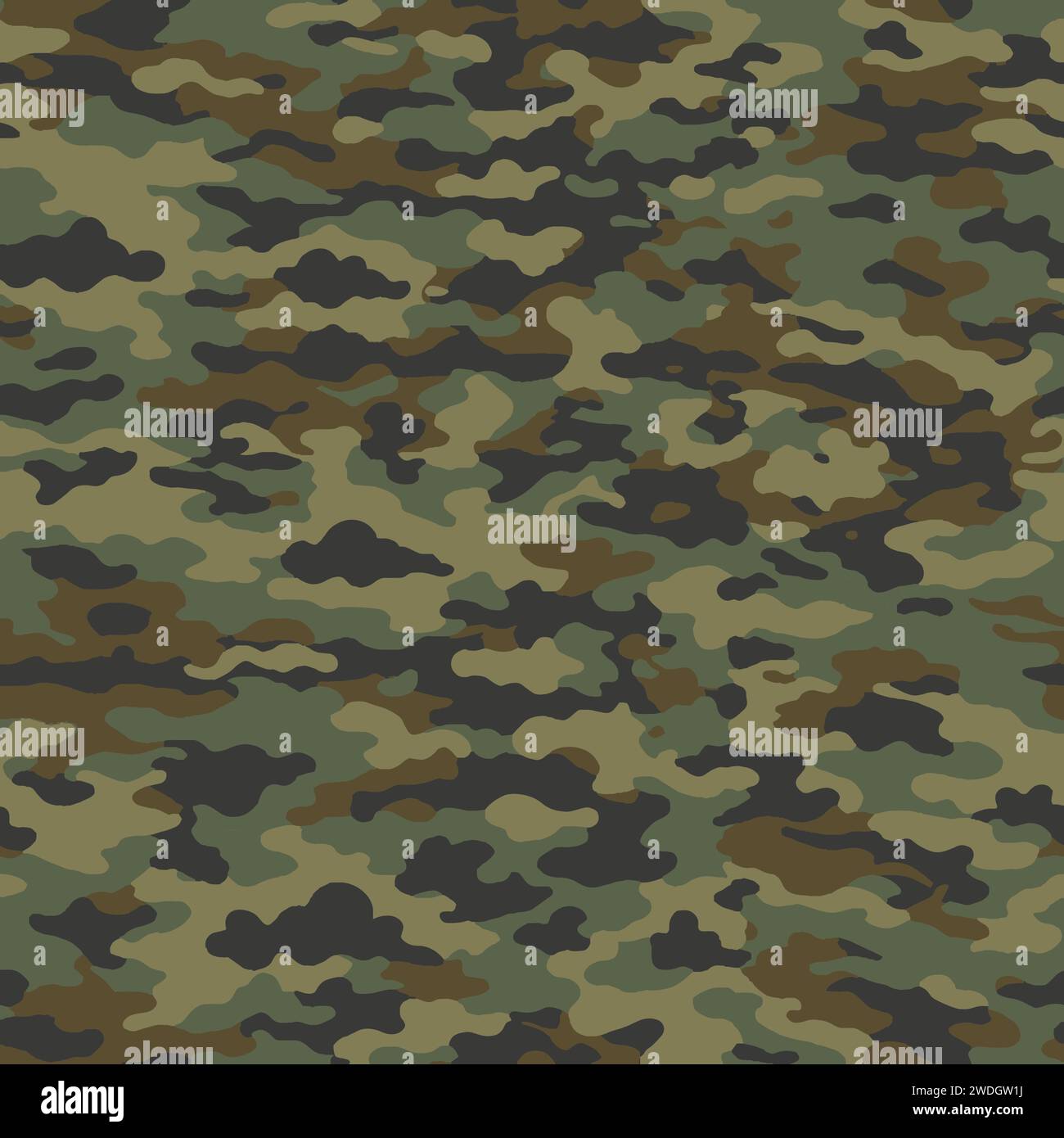 Olive camouflage hi-res stock photography and images - Alamy