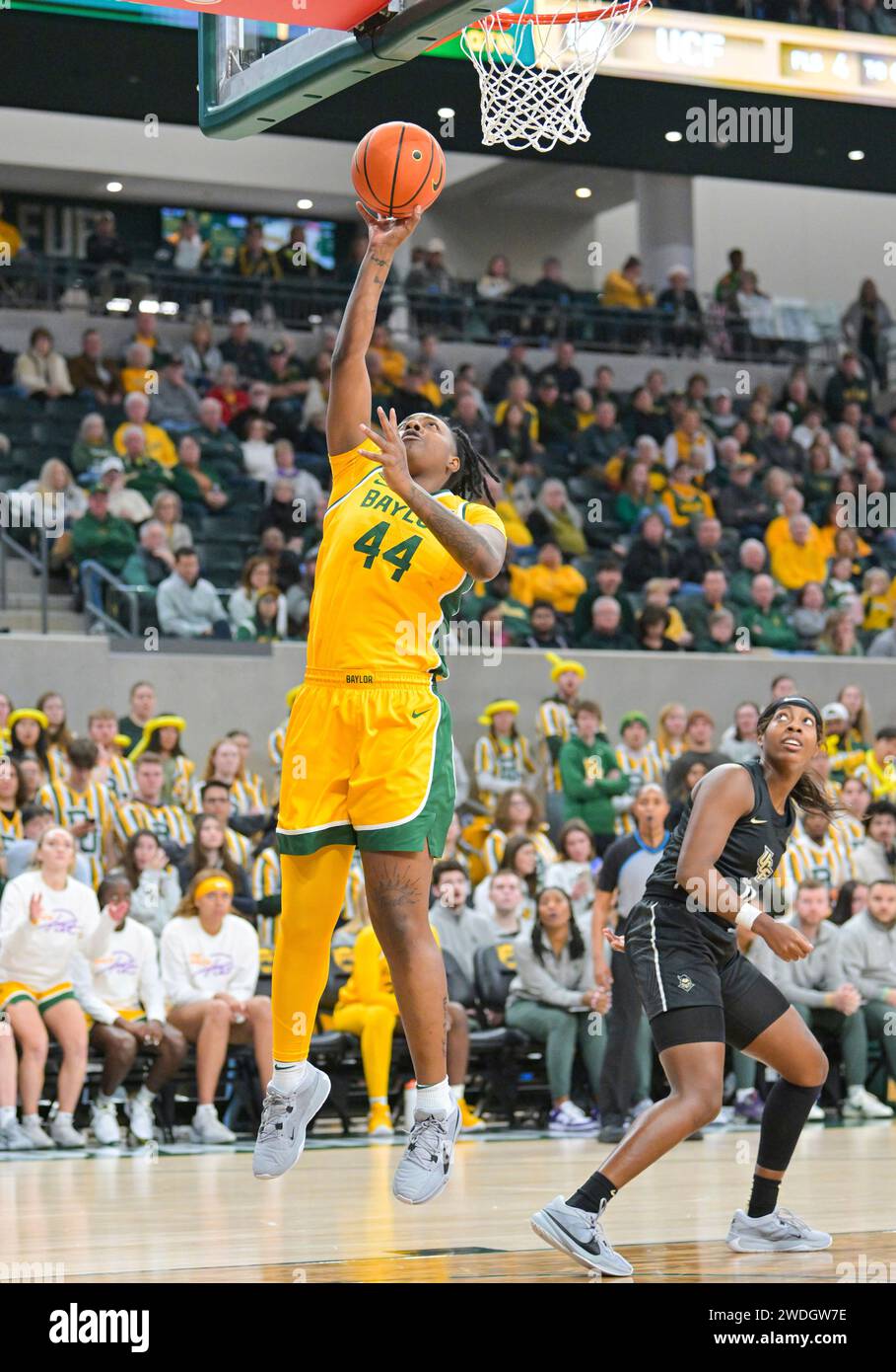 January 20 2024: Baylor Lady Bears forward Dre'Una Edwards (44) shoots ...