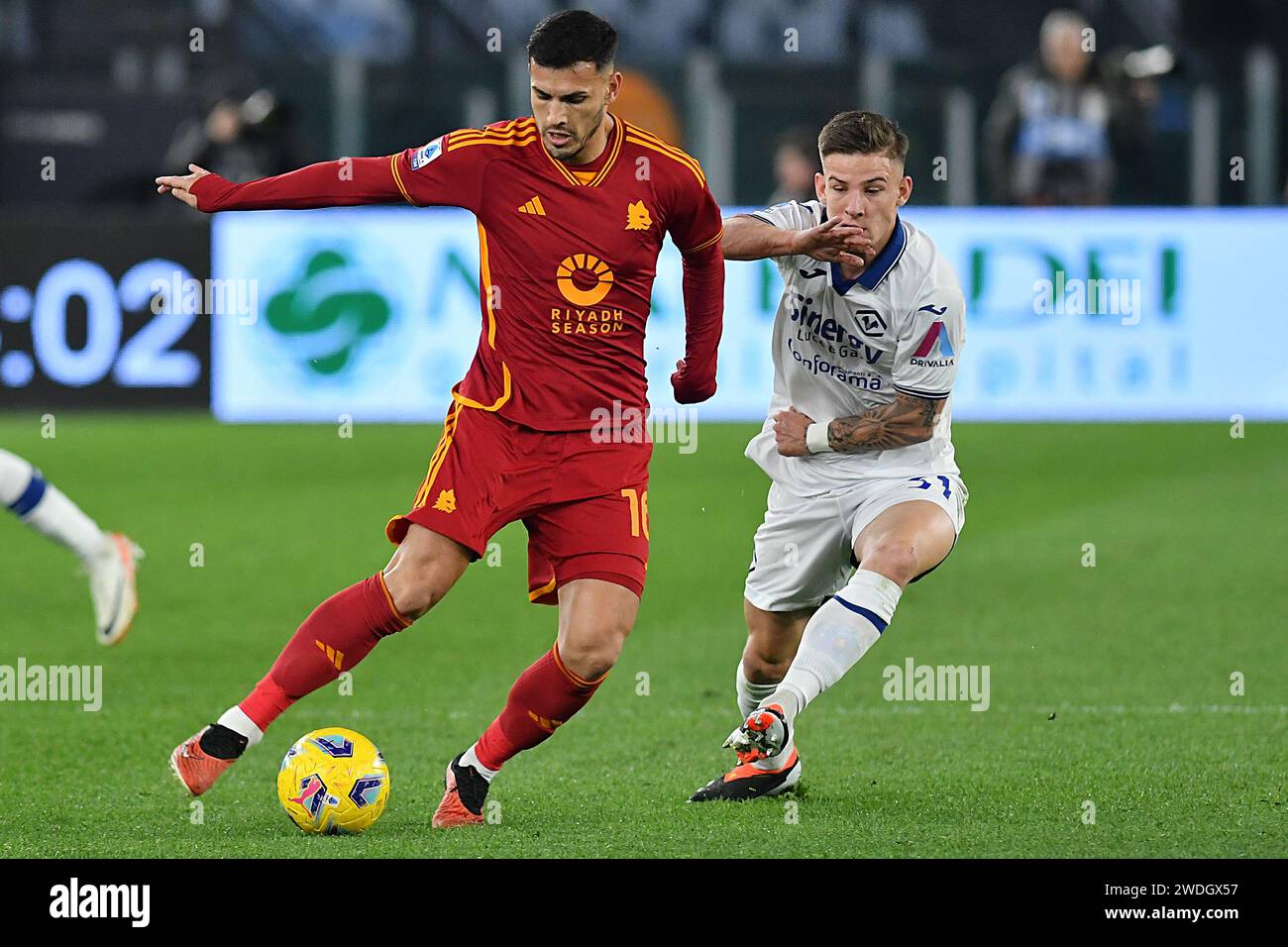 Suslov hi-res stock photography and images - Alamy