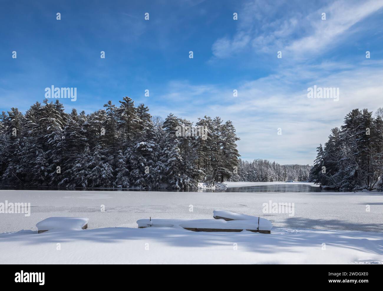 Blue sky over frozen lake and snow covered evergreens in Muskoka Canada ...