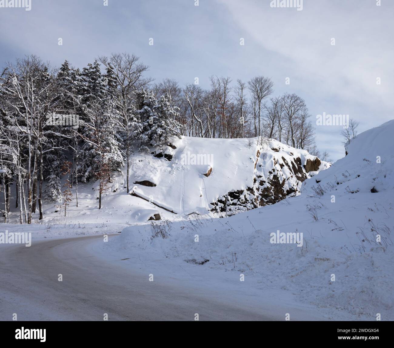 Snow on Road through Rocky landscape with trees in Muskoka Ontario in ...