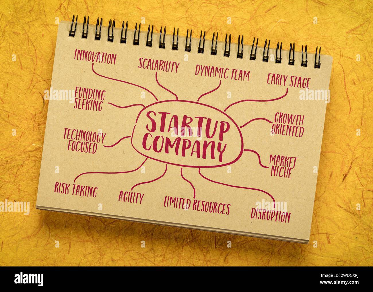 startup company - infographics or mind map sketch on a notebook, new business concept Stock ...