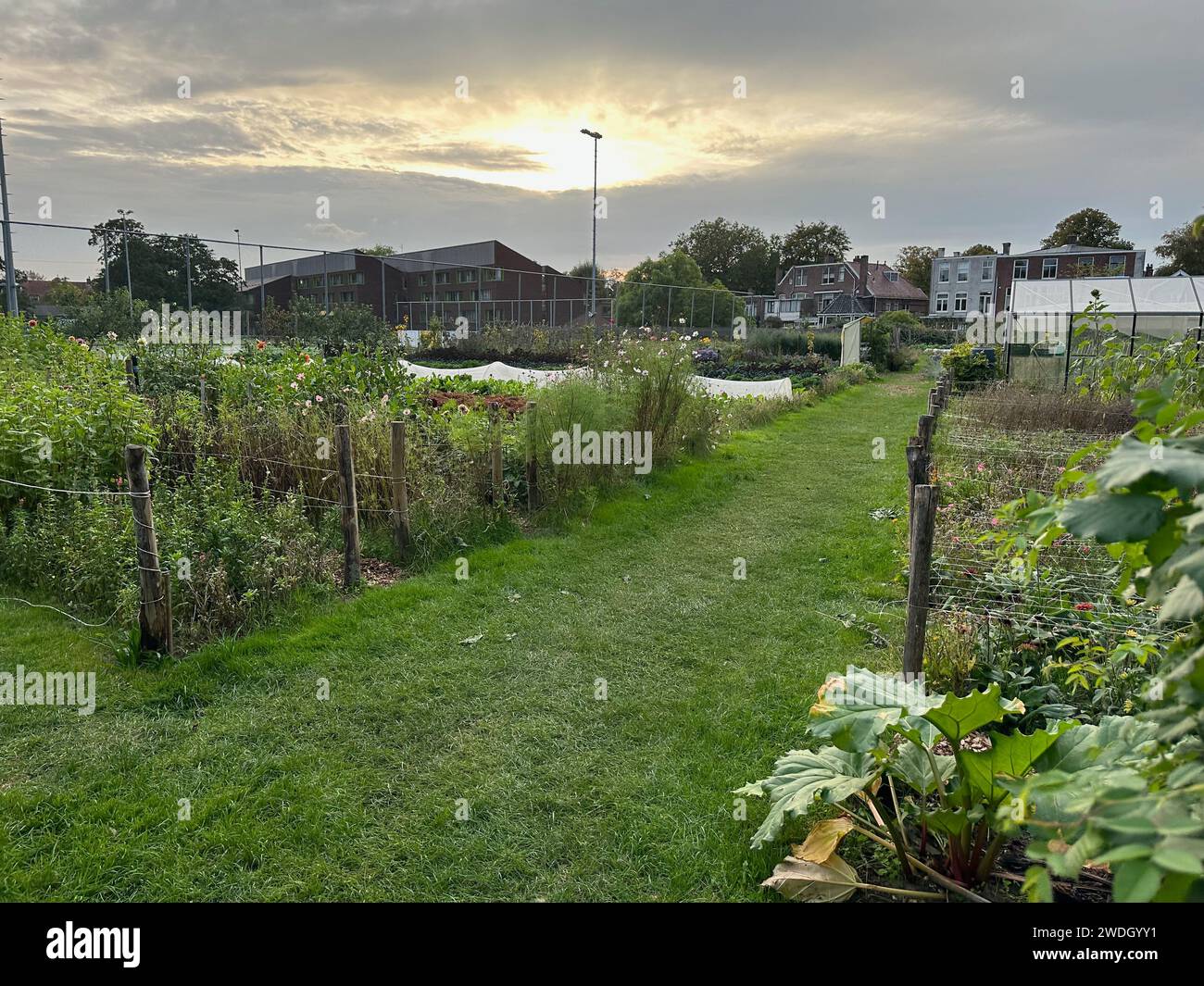 Beautiful farm with different plants and grass Stock Photo - Alamy