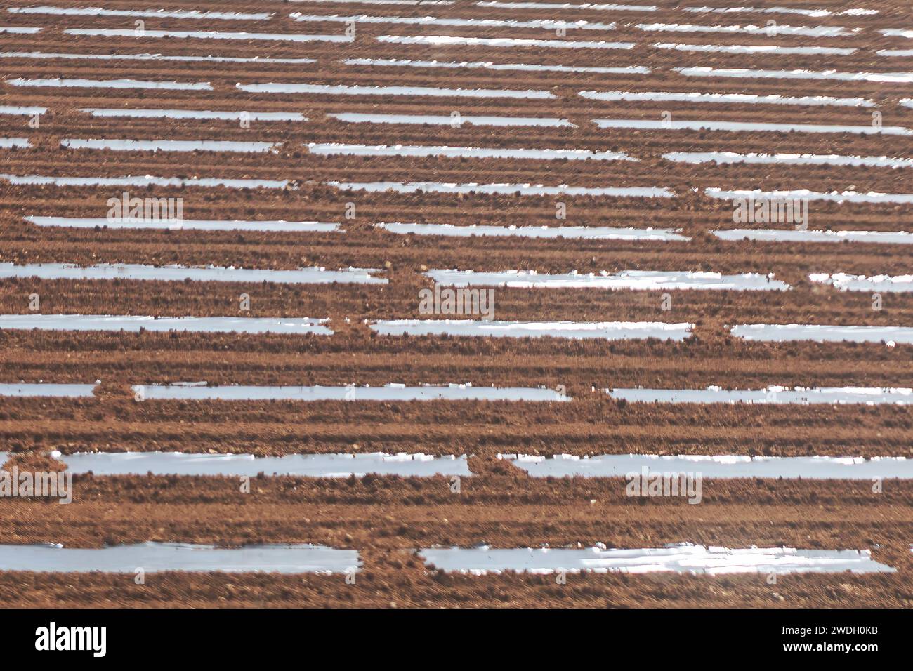 Plowed field with rows of arable land prepared for sowing Stock Photo ...