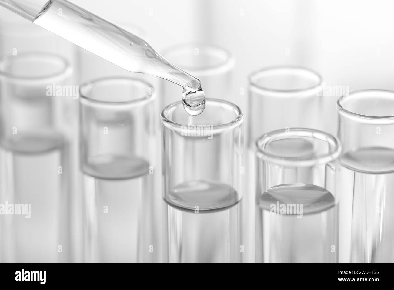 Laboratory analysis. Dripping liquid from pipette into glass test tube ...