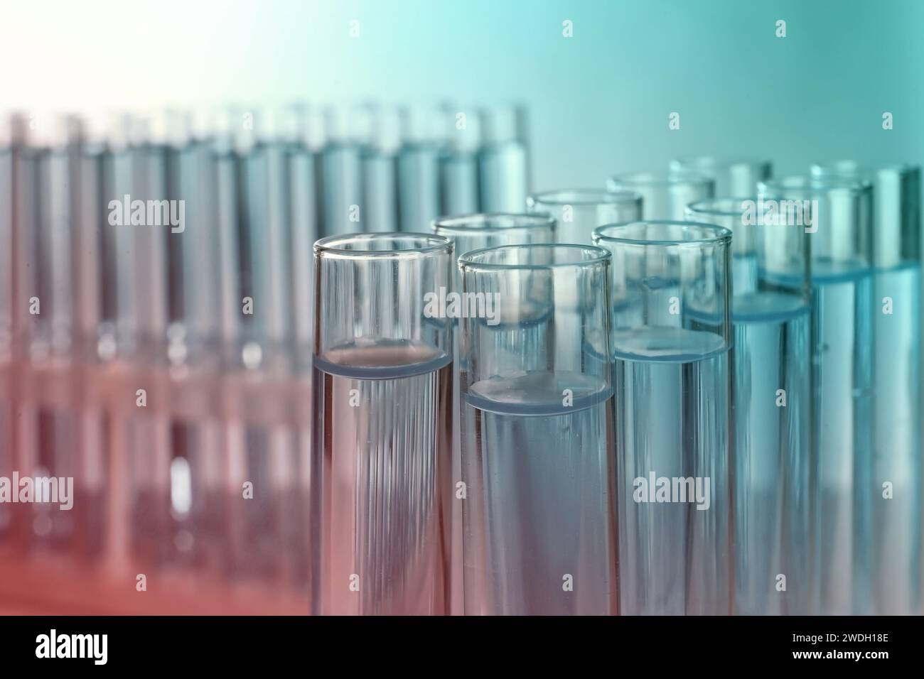 Test tubes with liquid, closeup. Color toned Stock Photo - Alamy