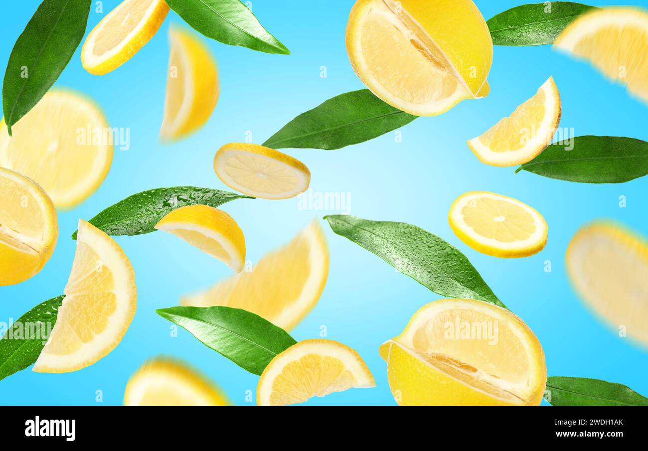 Fresh lemons and green leaves falling on light blue background Stock ...