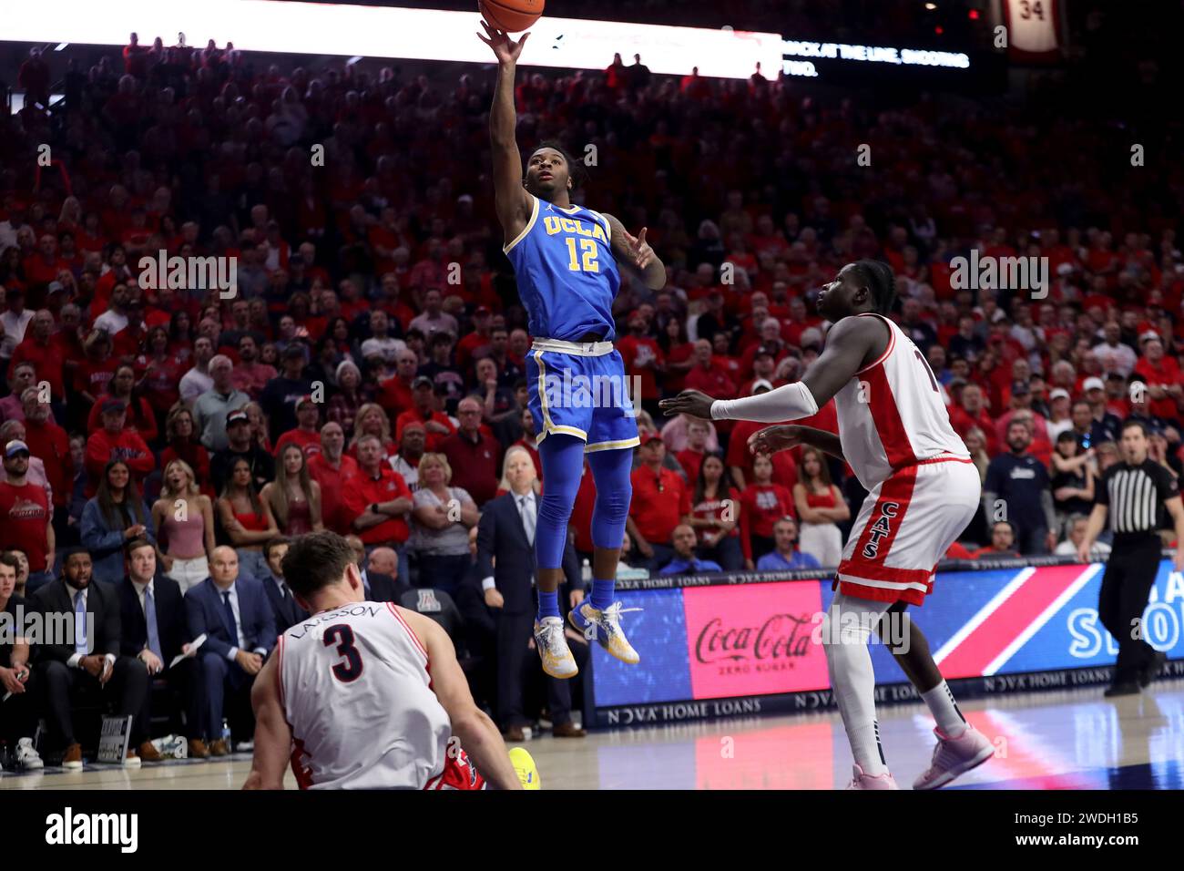 TUCSON, AZ - JANUARY 20: UCLA Bruins guard Sebastian Mack #12 during ...