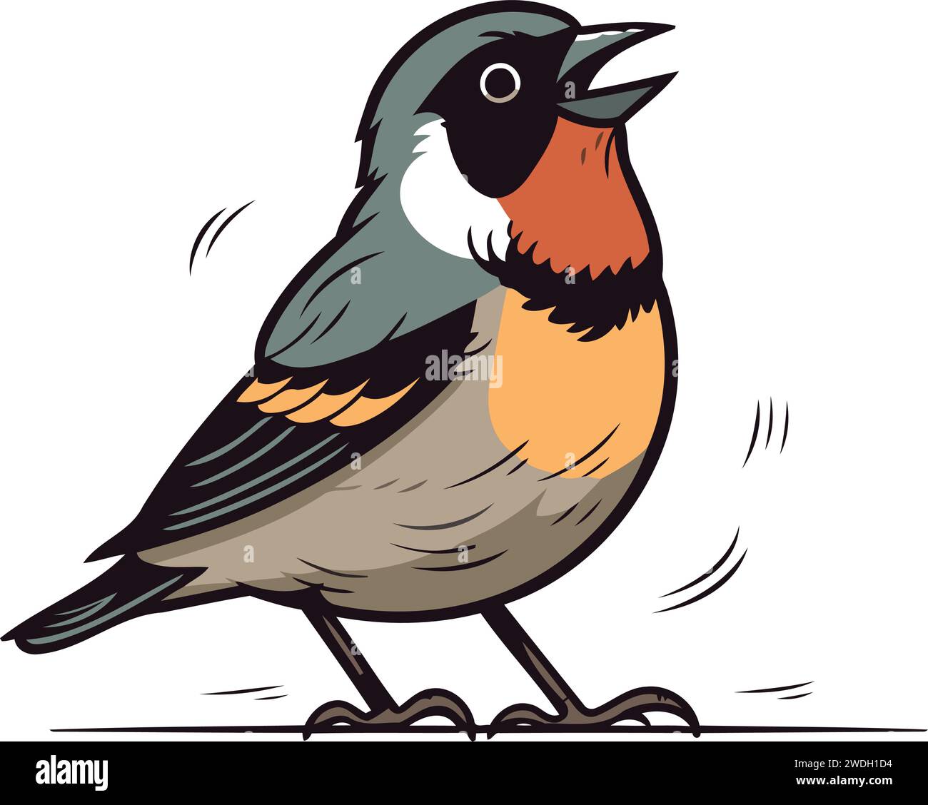 The chaffinch Stock Vector Images - Alamy