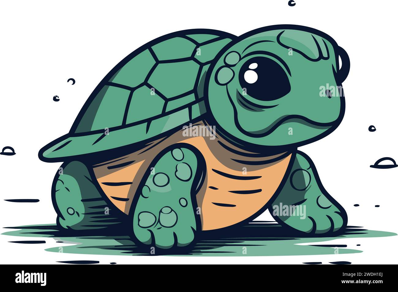 Cartoon turtle. Vector illustration. Isolated on white background Stock ...