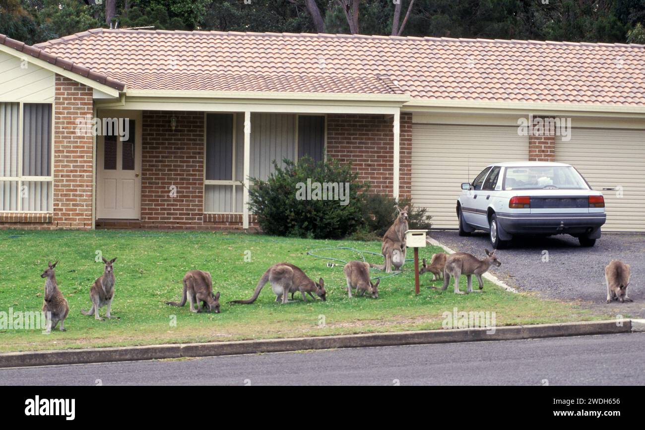 Living with fear hi-res stock photography and images - Alamy