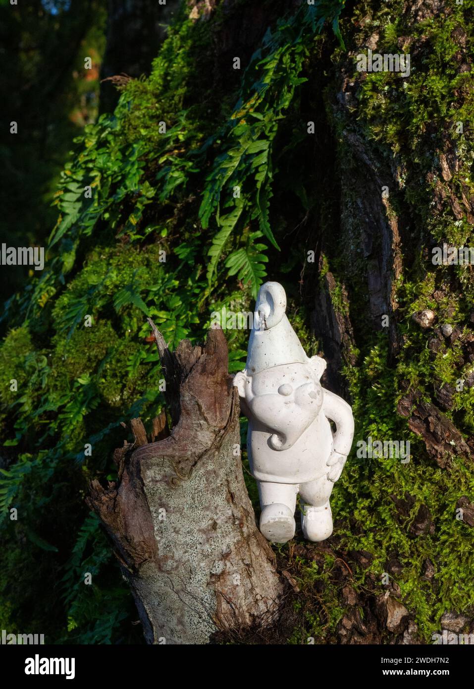 Hidden gnome hi-res stock photography and images - Alamy