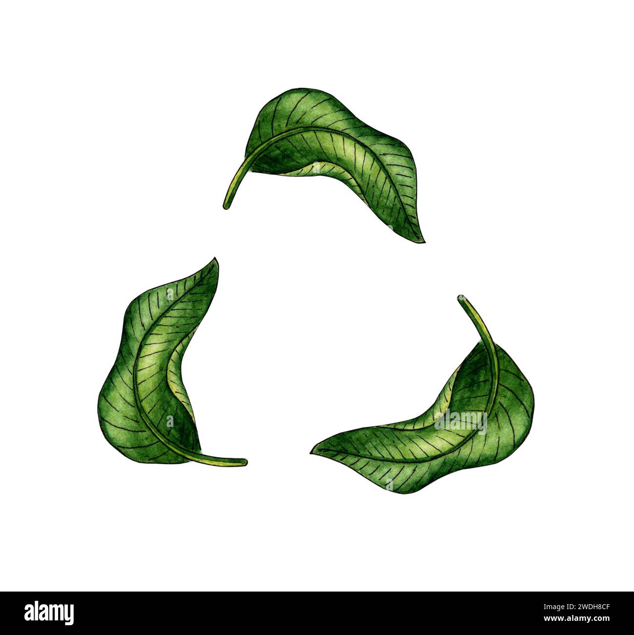 Watercolor illustration of green leaves in the shape of a recycling ...