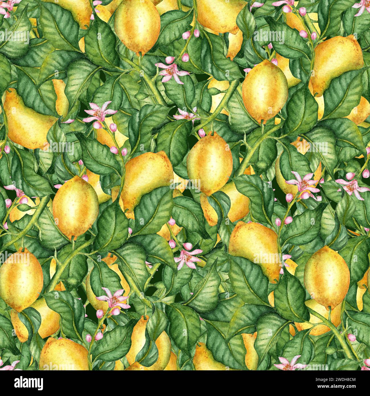 Watercolor illustration of a green lush bush. Element of natural bush ...