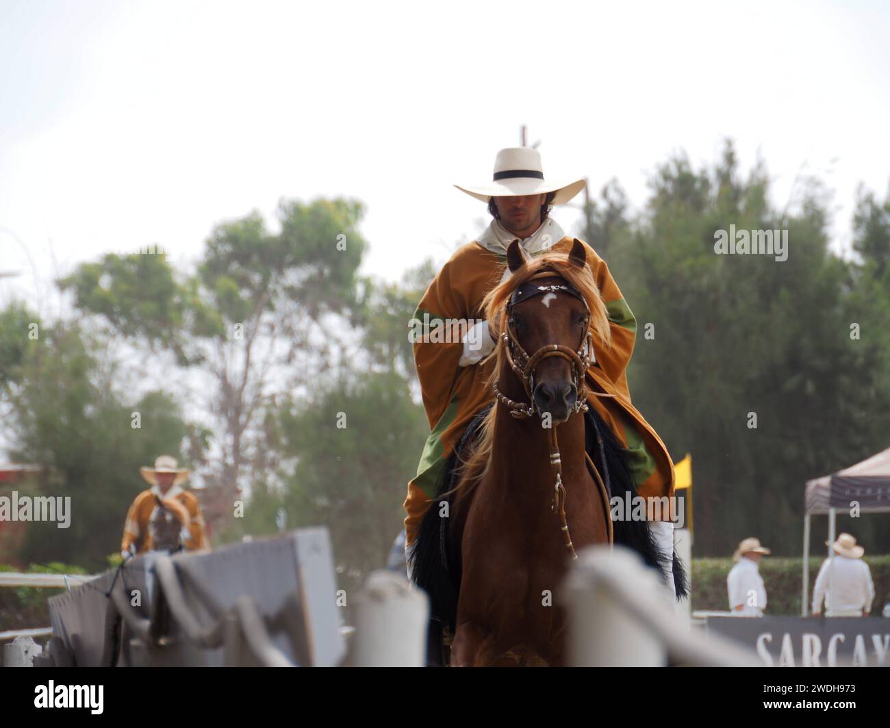 Peruvian horse and rider, known as Chalan, showing his gait at the XXI ...