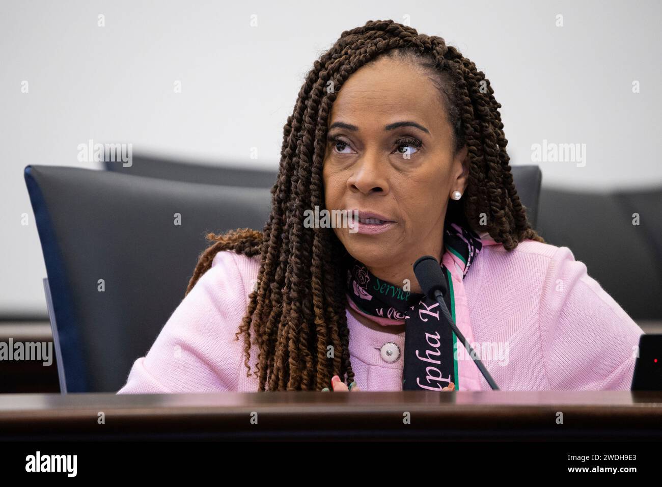Florida State Sen. Rosalind Osgood is seen during a hearing at the ...