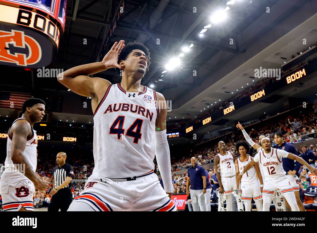 Auburn center Dylan Cardwell (44) reacts after a dunk against ...