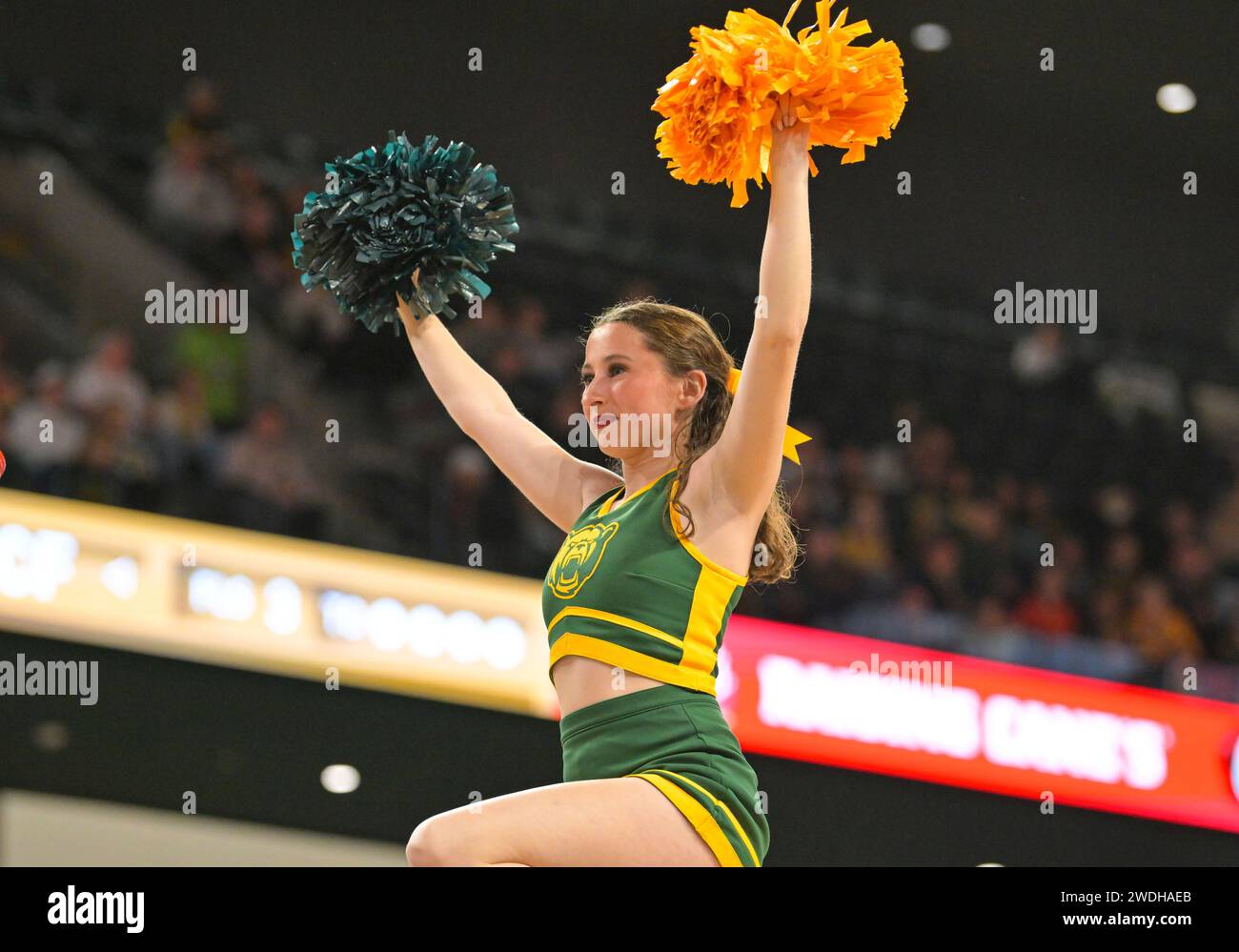 January 20 2024: Baylor Lady Bears cheerleaders during the 1st half of ...