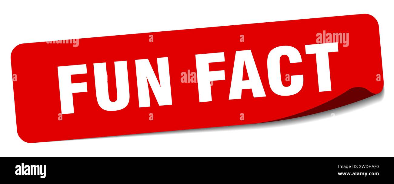 fun fact sticker. fun fact rectangular label isolated on white ...