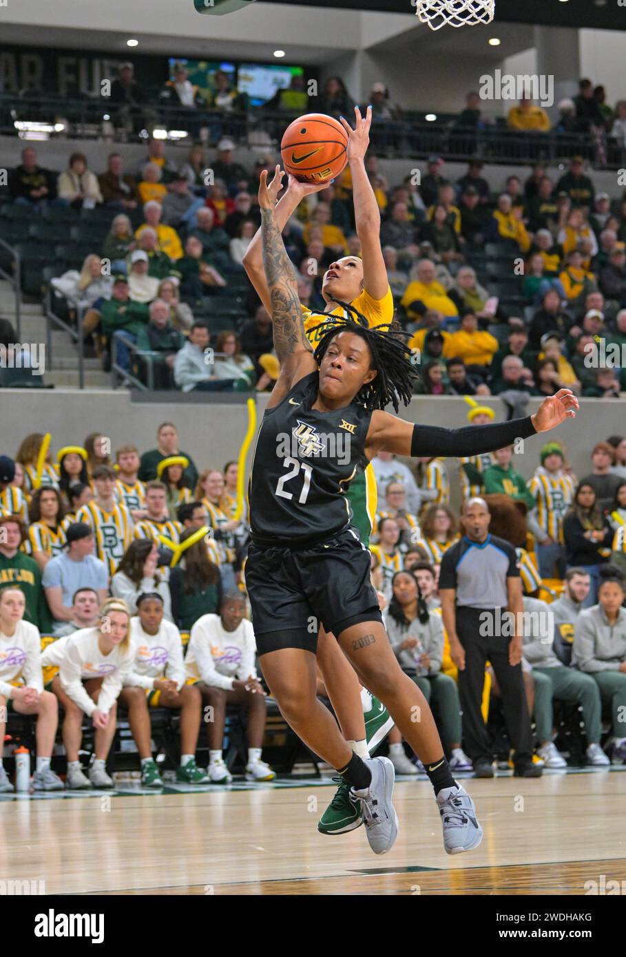 Waco, Texas, USA. 20th Jan, 2024. Baylor Lady Bears guard Darianna ...