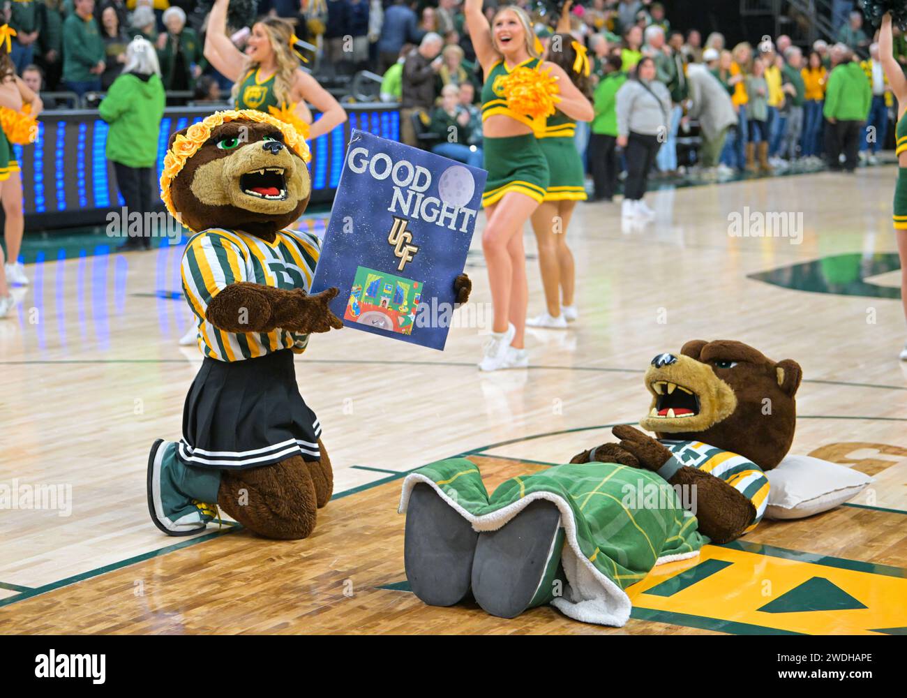Waco, Texas, USA. 20th Jan, 2024. Baylor Lady Bears mascots after the ...