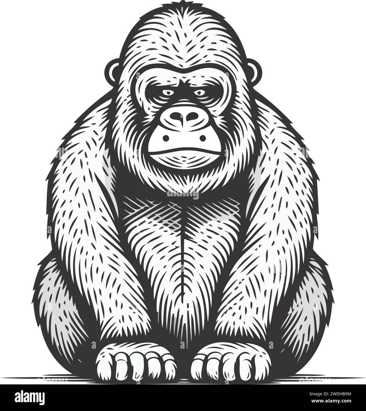 White gorilla Stock Vector Images - Alamy