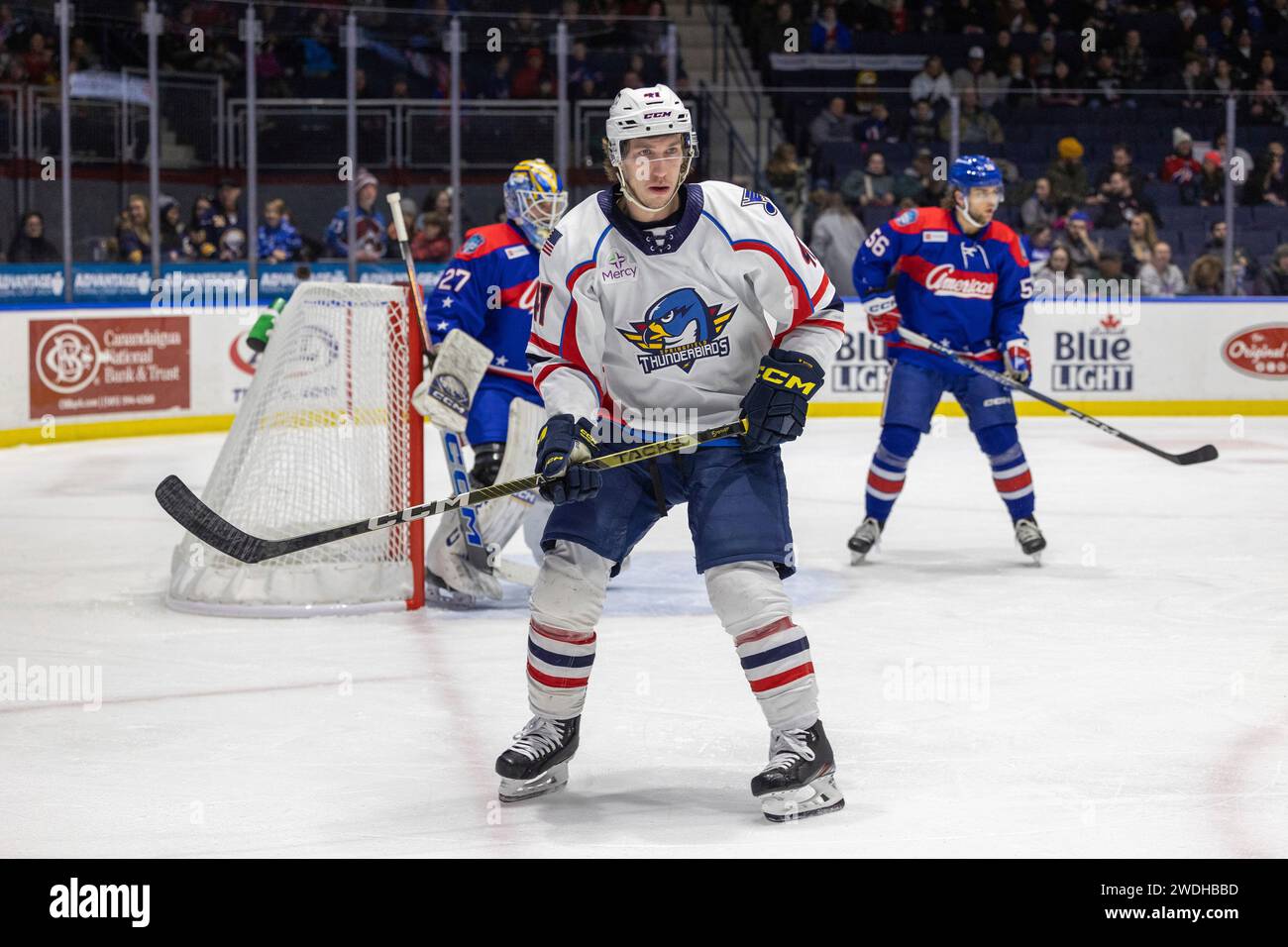 January 20th, 2024: Springfield Thunderbirds forward Will Bitten (41 ...