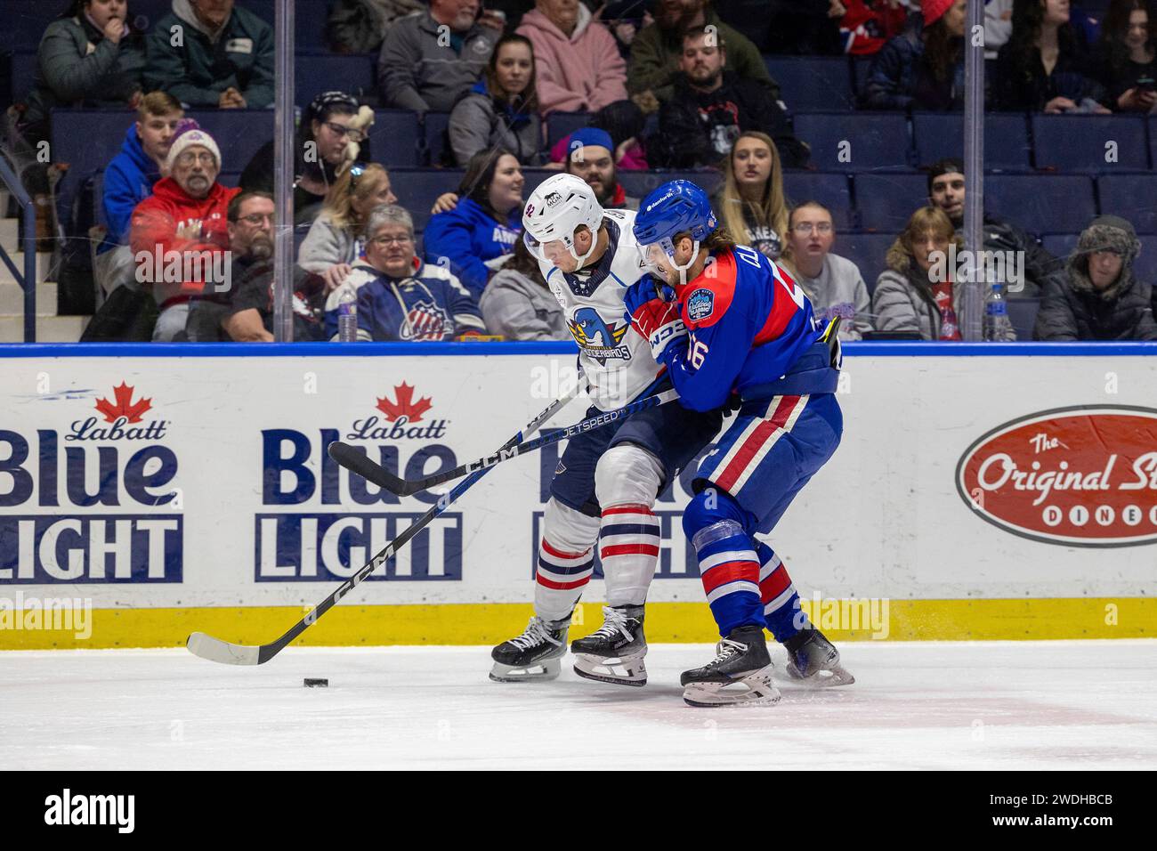 January 20th, 2024: Springfield Thunderbirds forward Jakub Vrana (92 ...