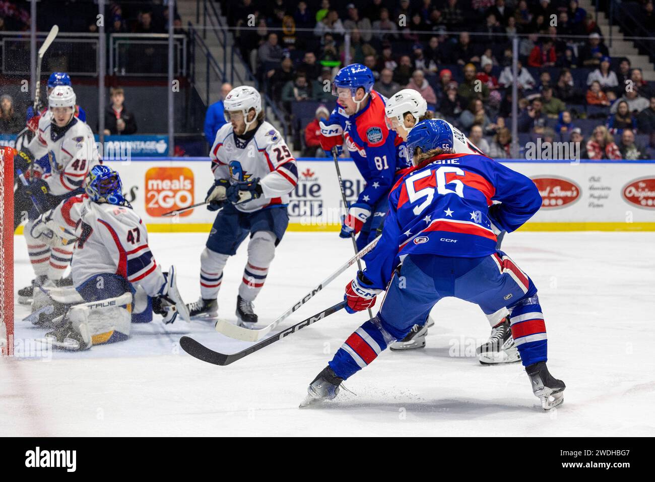January 20th, 2024: Rochester Americans defenseman Kale Clague (56 ...