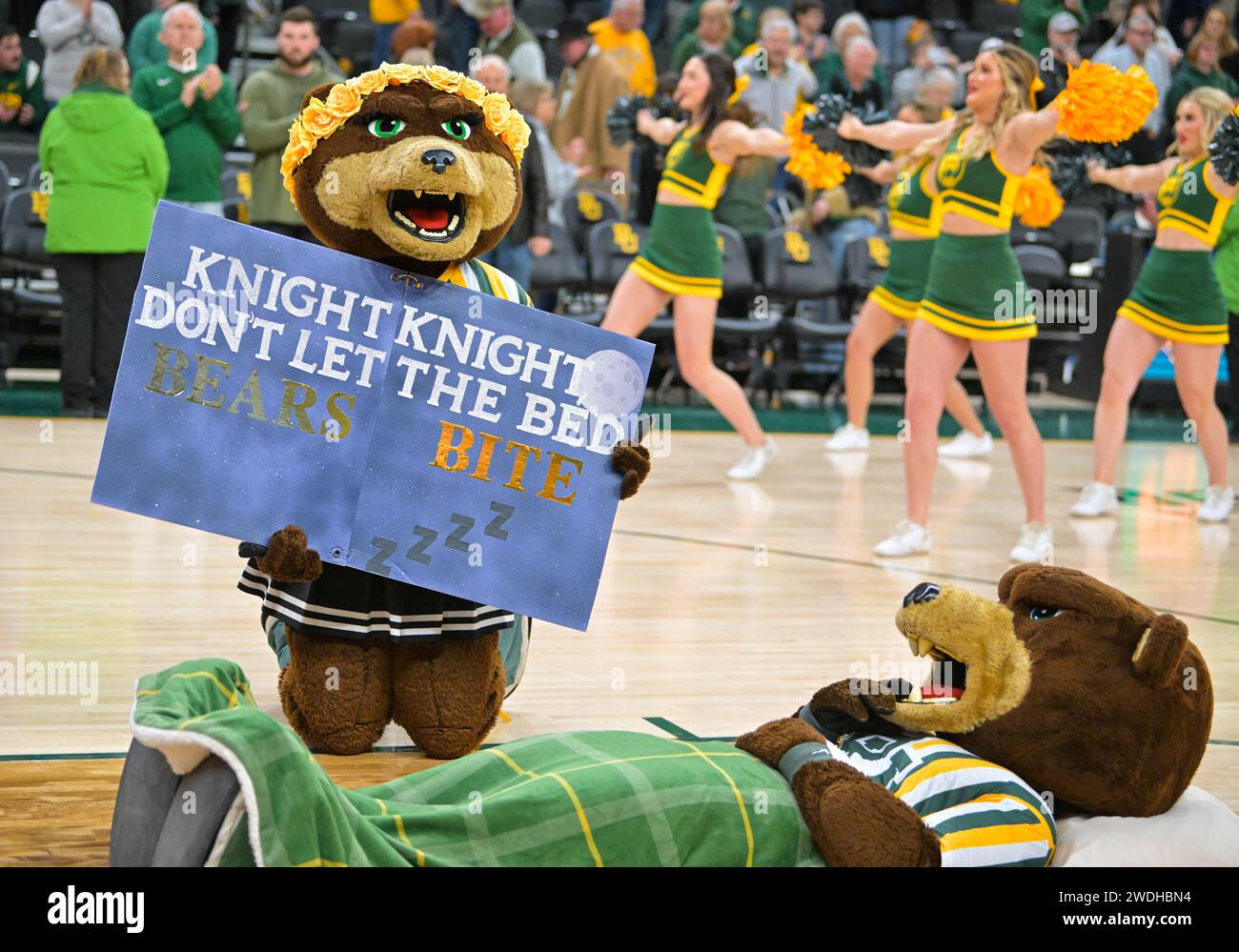 Waco, USA. 20th Jan, 2024. January 20 2024: Baylor Lady Bears mascots ...