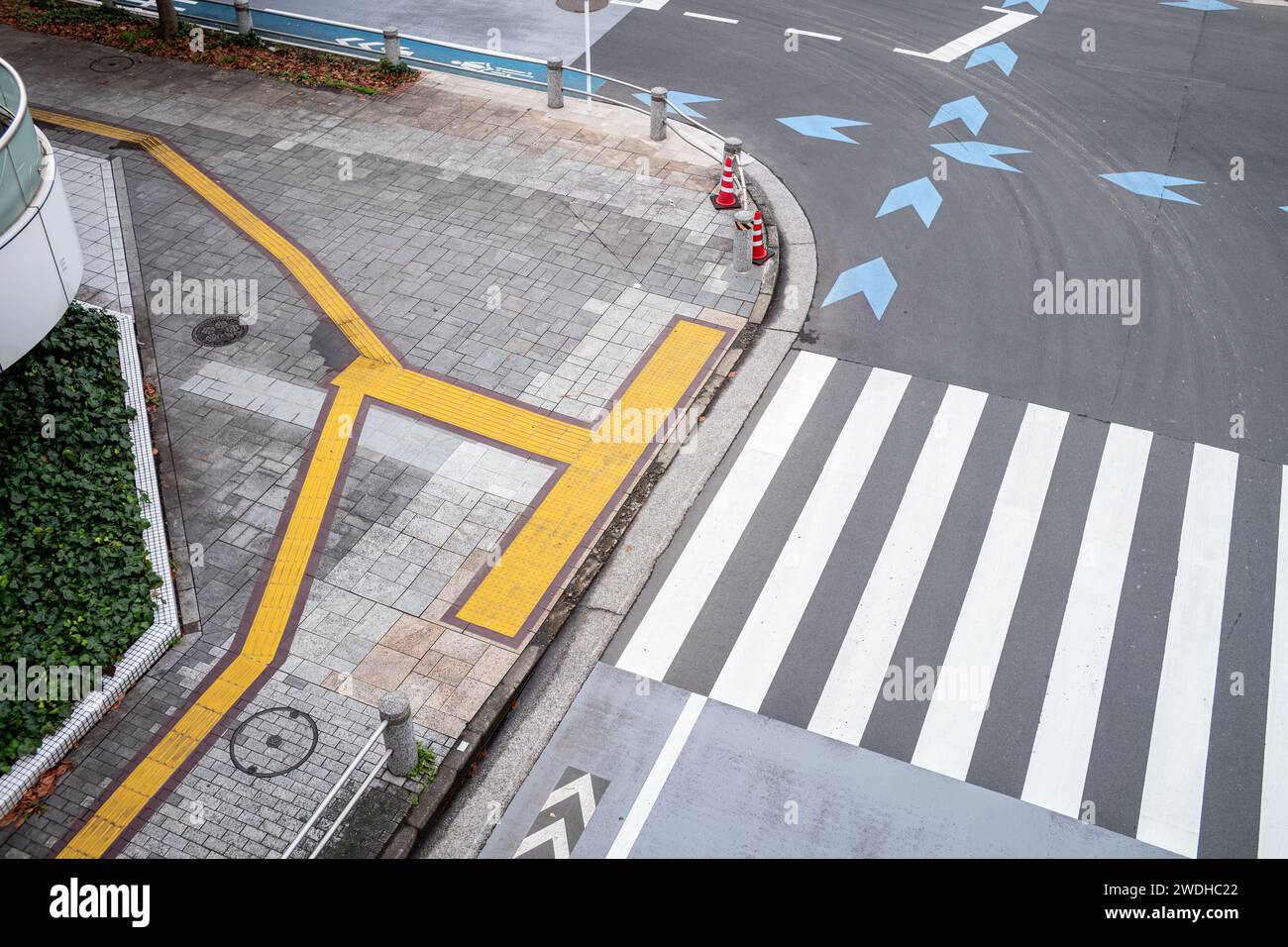 Crosswalk in Tokyo, Japan Stock Photo - Alamy