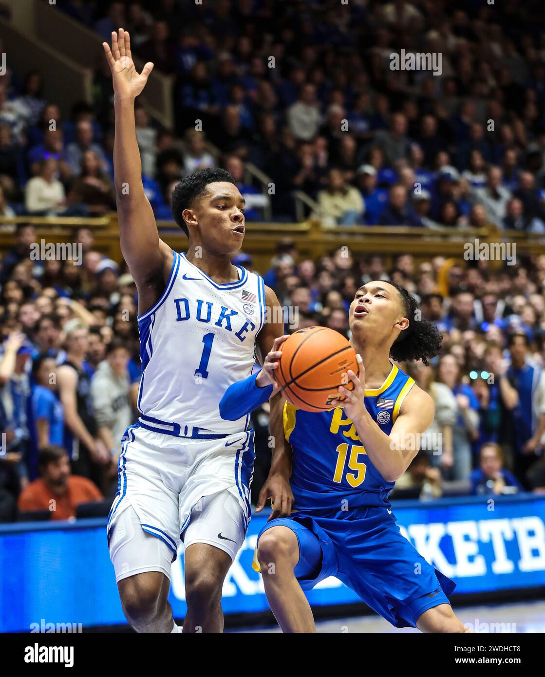 Pitt vs duke 31 jpg hi-res stock photography and images - Alamy